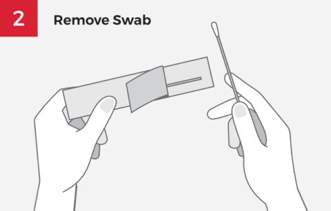 Buccal Swab DNA-Collection Instructions | DDC