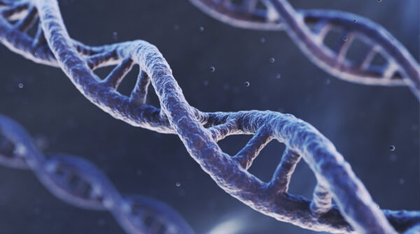 About DNA Diagnostics Center (DDC) - DNA Diagnostics Center (DDC)