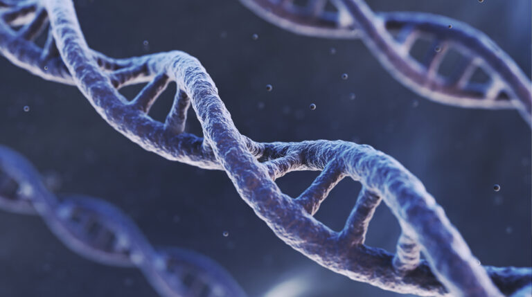 About DNA Diagnostics Center (DDC) - DNA Diagnostics Center (DDC)