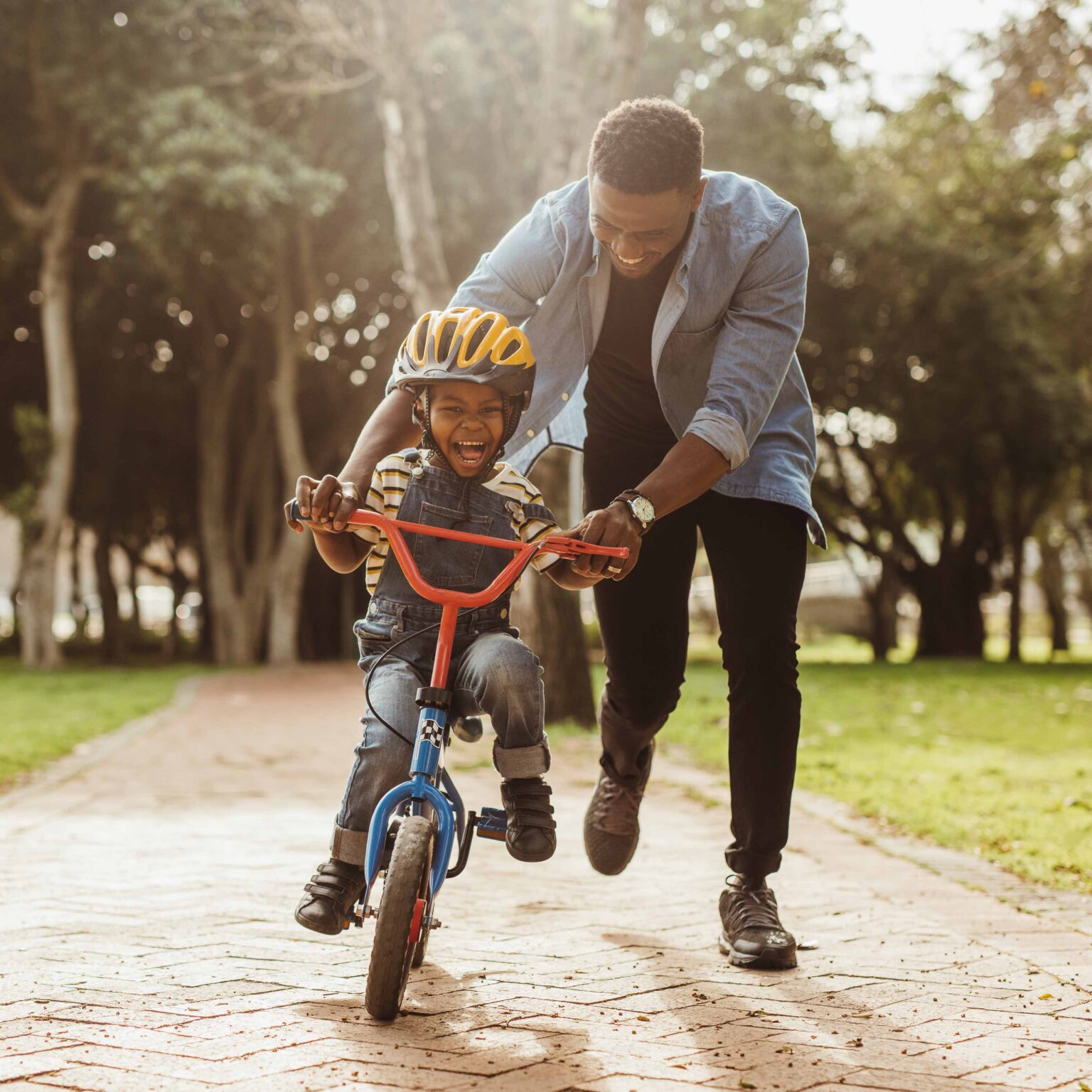 About DNA Diagnostics Center (DDC) - DNA Diagnostics Center (DDC)